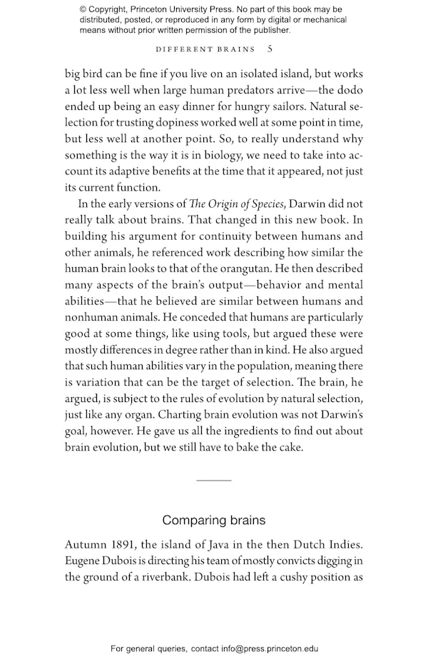 The Fox, the Shrew, and You | Princeton University Press