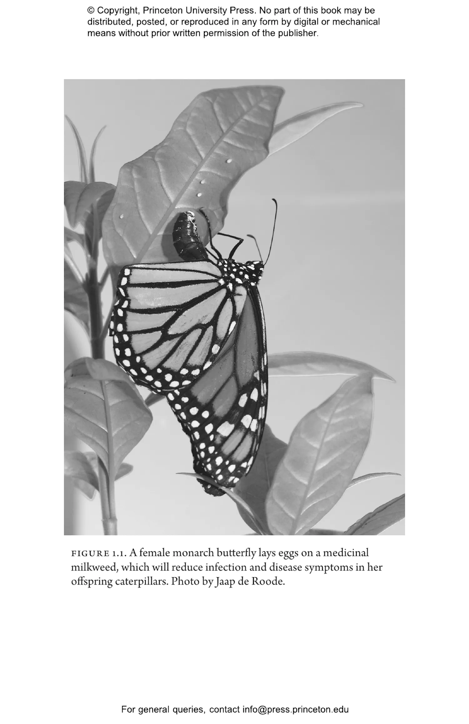 Doctors by Nature | Princeton University Press