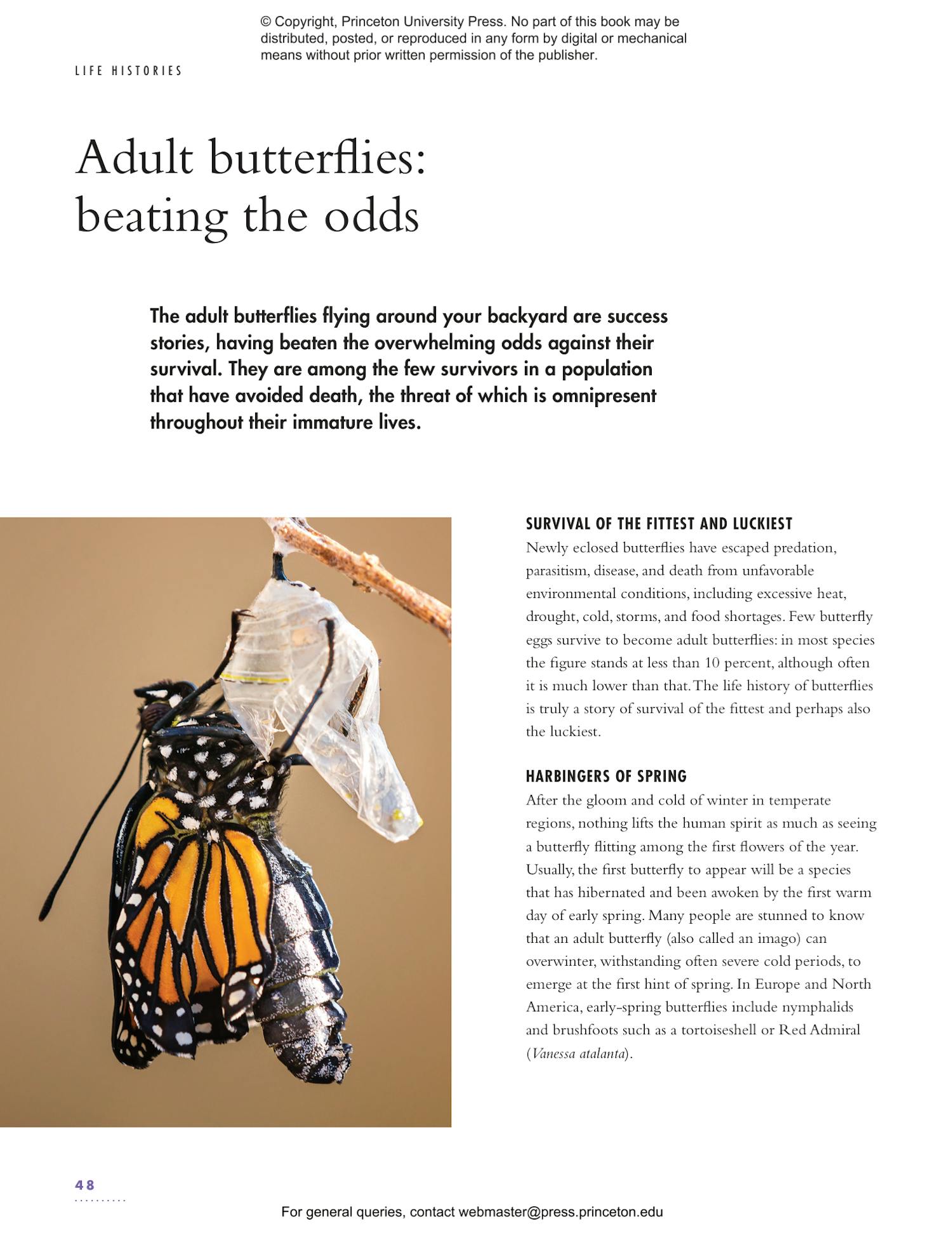 The Lives of Butterflies | Princeton University Press