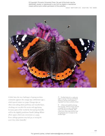 The Lives of Butterflies | Princeton University Press