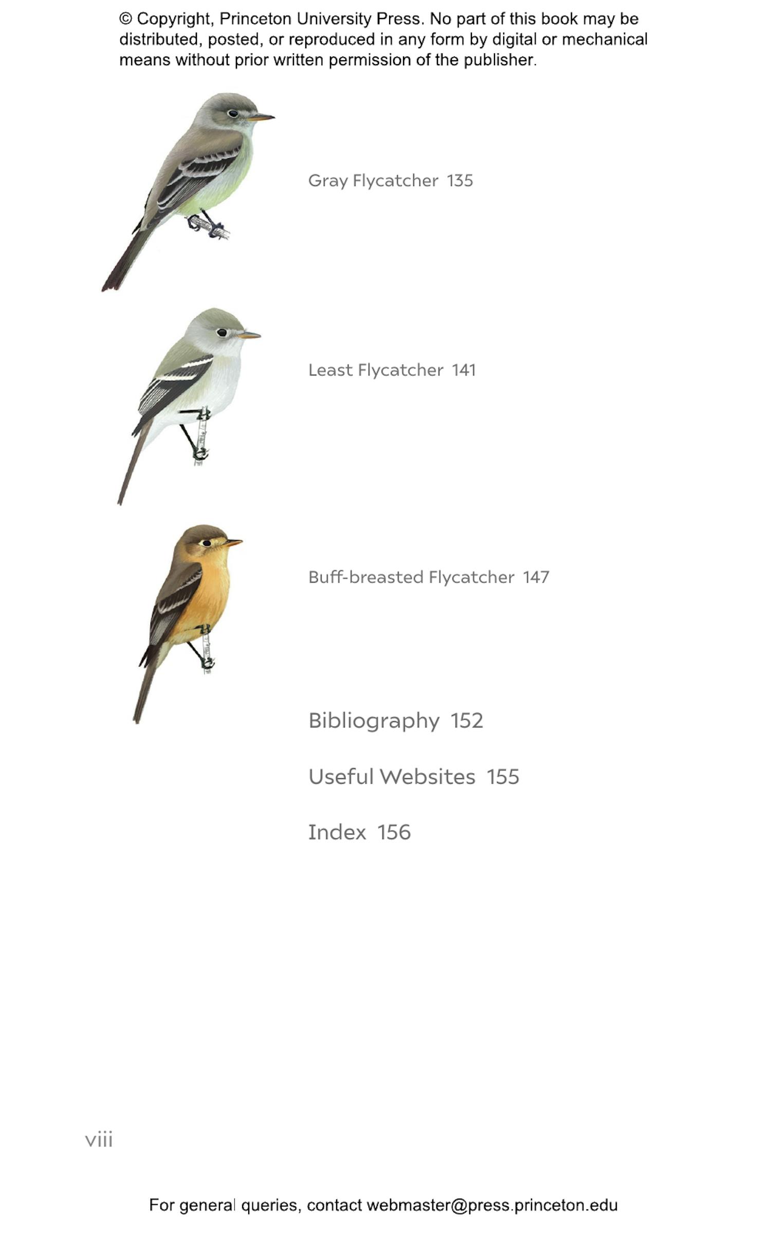 Field Guide to North American Flycatchers | Princeton University Press