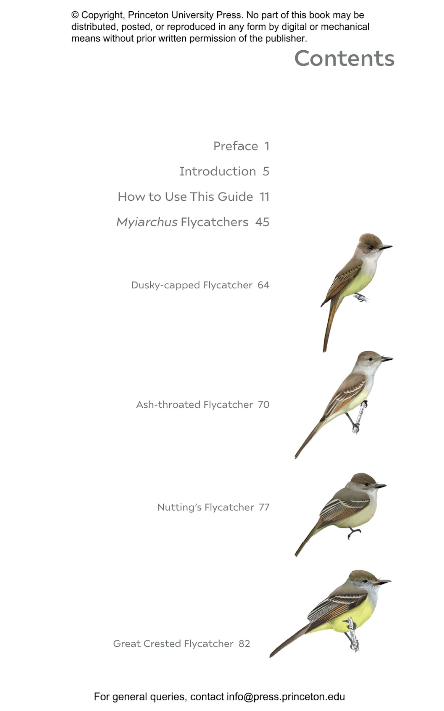 Field Guide to North American Flycatchers | Princeton University Press