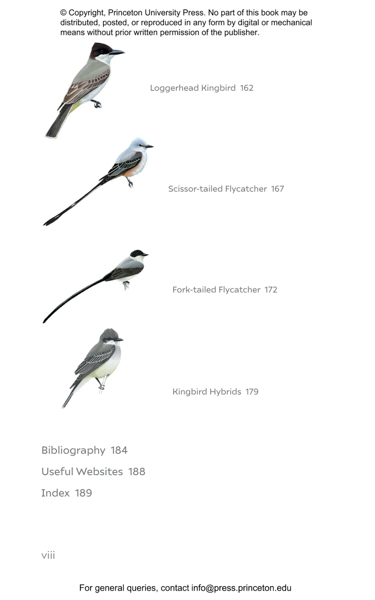 Field Guide to North American Flycatchers | Princeton University Press