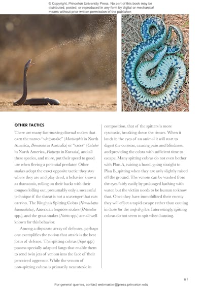 Snakes of the World | Princeton University Press