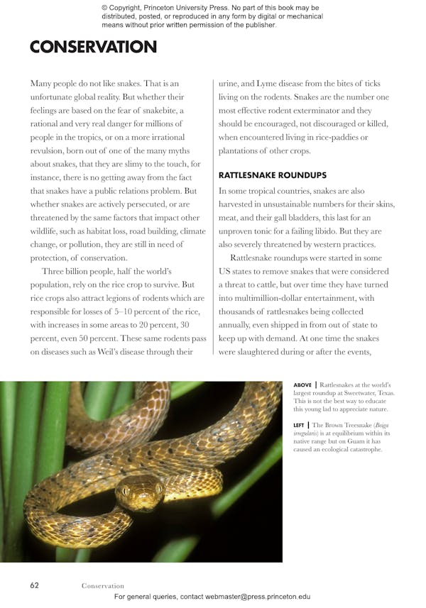 Snakes of the World | Princeton University Press