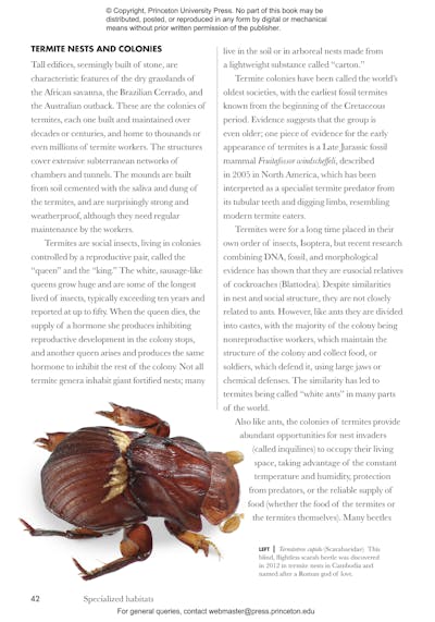 Beetles of the World | Princeton University Press