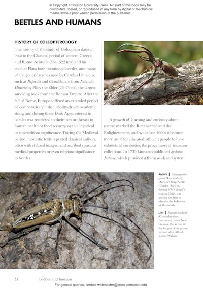 Beetles of the World | Princeton University Press