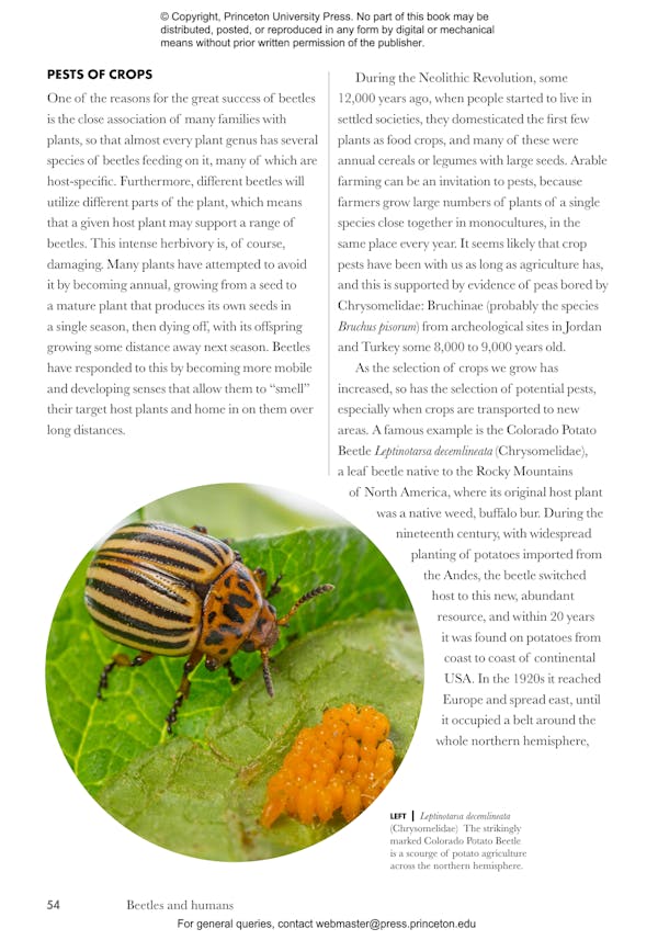 Beetles of the World | Princeton University Press