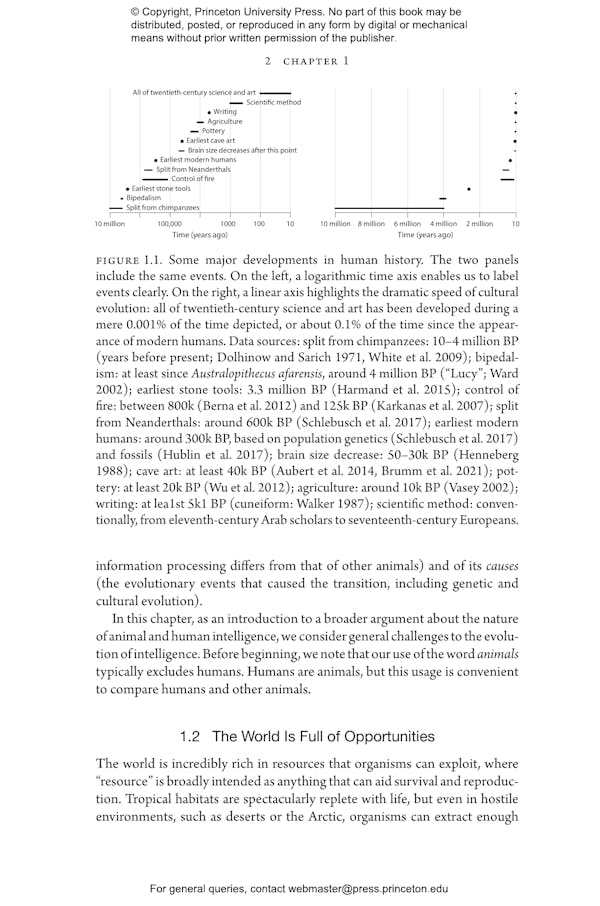 The Human Evolutionary Transition | Princeton University Press