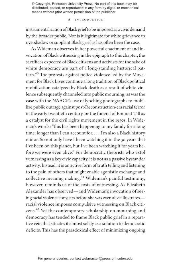 Black Grief/White Grievance | Princeton University Press