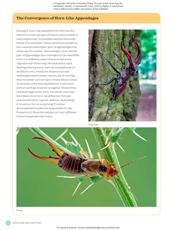 The Complete Insect | Princeton University Press