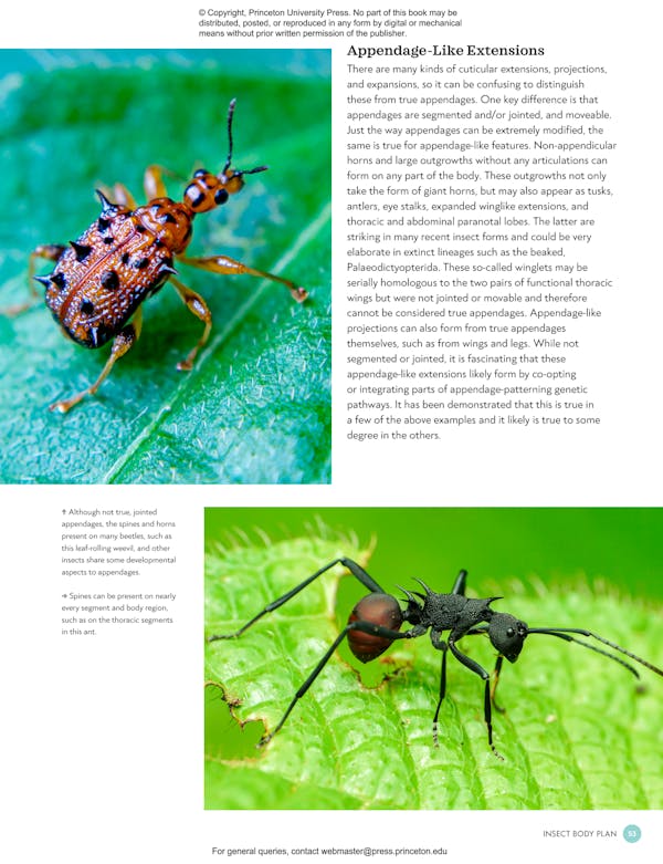 The Complete Insect | Princeton University Press