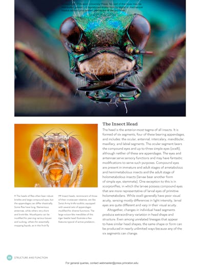 The Complete Insect | Princeton University Press