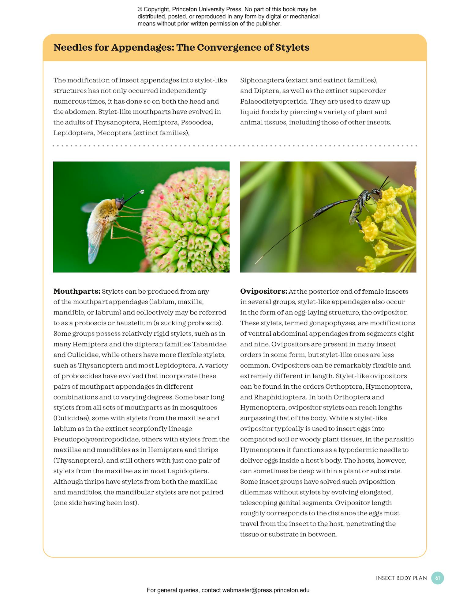 The Complete Insect | Princeton University Press