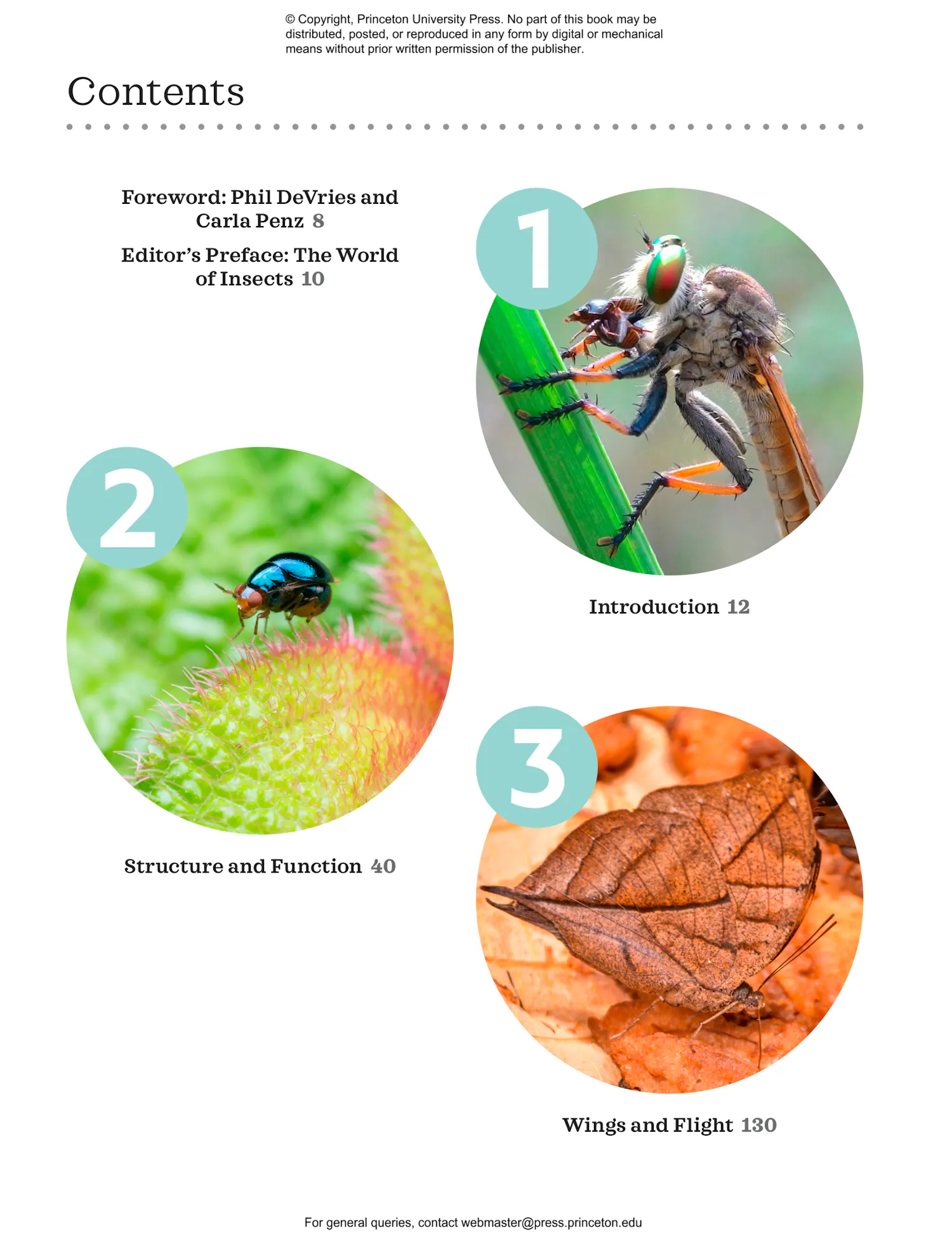 The Complete Insect | Princeton University Press