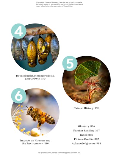 The Complete Insect | Princeton University Press