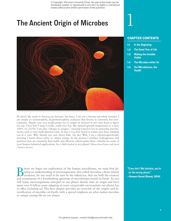 The Human Microbiome in Health and Disease | Princeton University Press