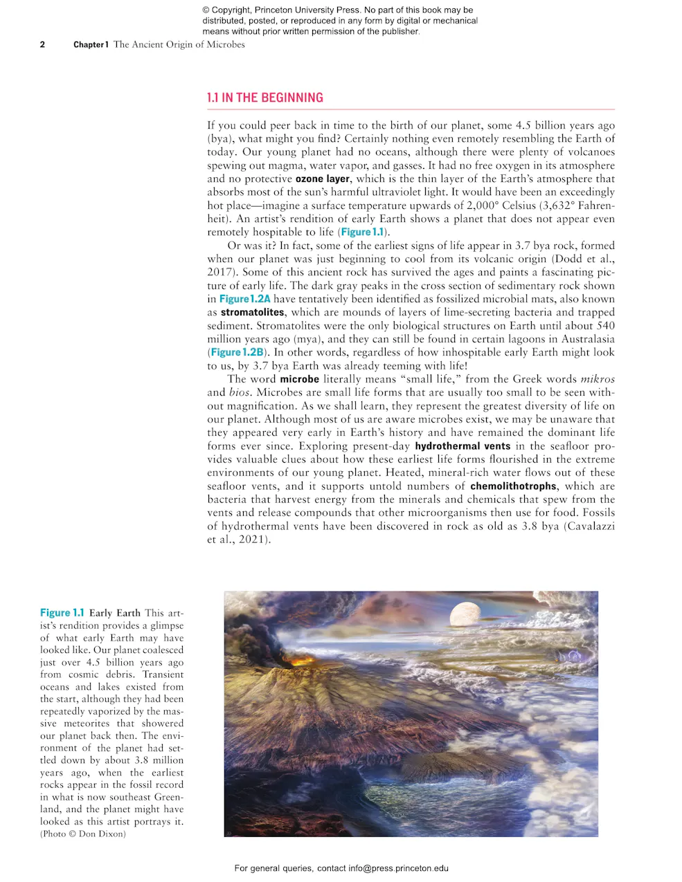 The Human Microbiome in Health and Disease | Princeton University Press