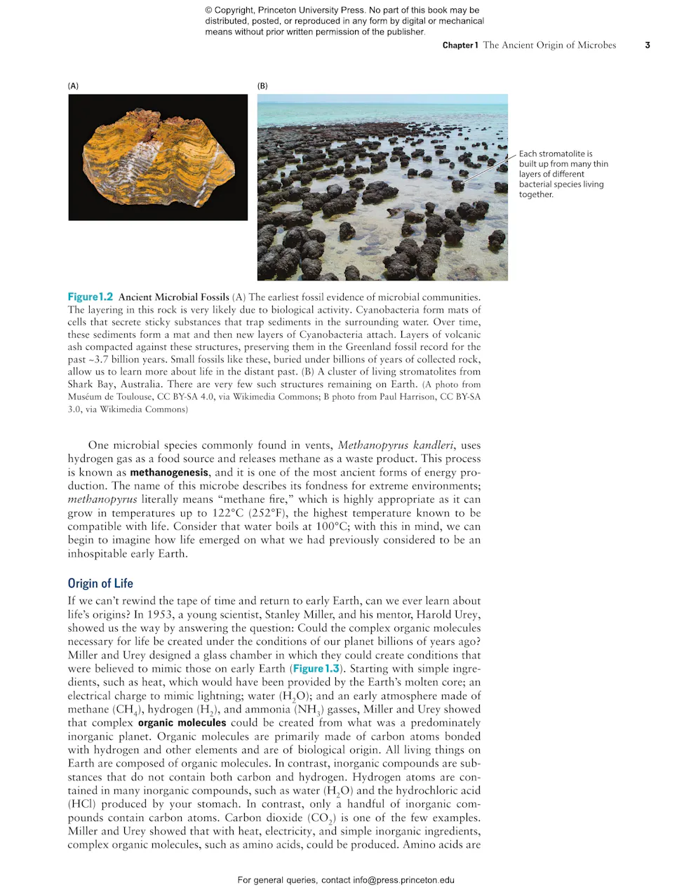 The Human Microbiome in Health and Disease | Princeton University Press