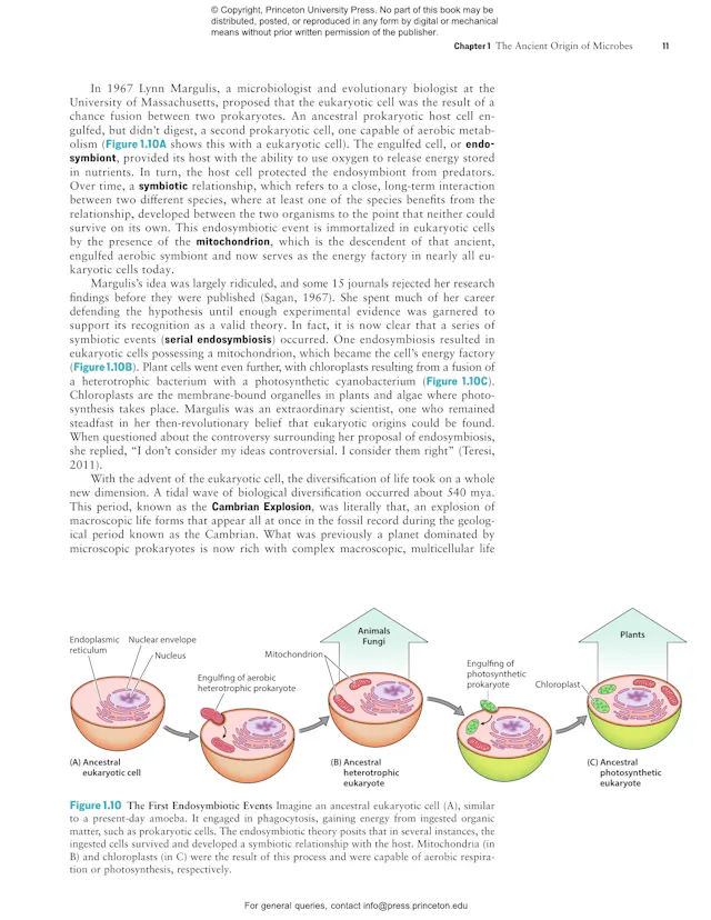 The Human Microbiome in Health and Disease | Princeton University Press