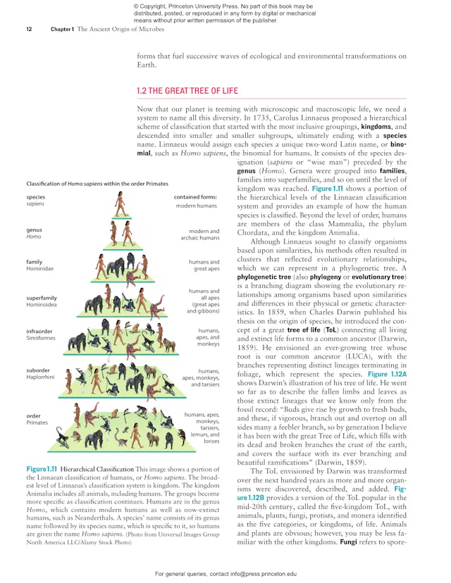 The Human Microbiome in Health and Disease | Princeton University Press