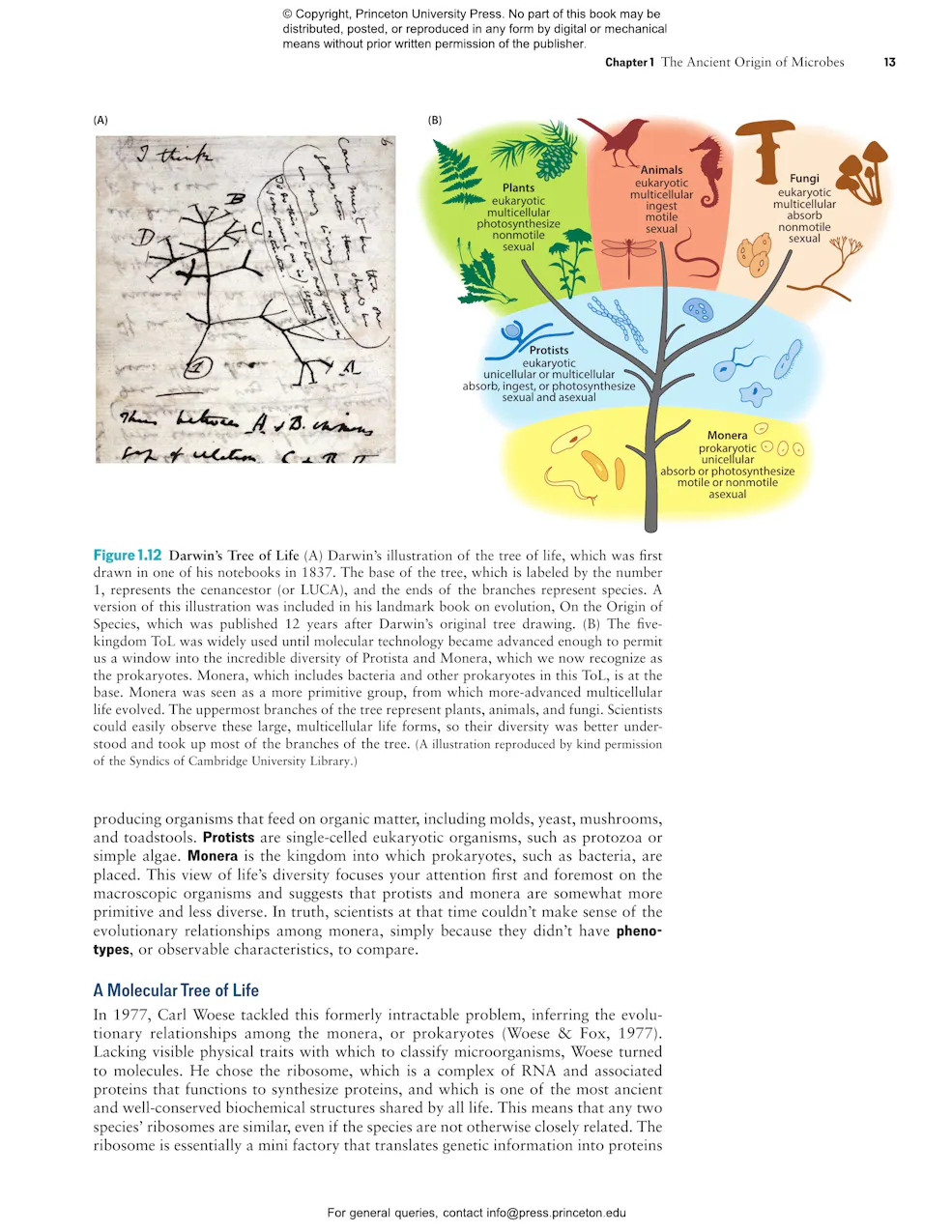 The Human Microbiome in Health and Disease | Princeton University Press