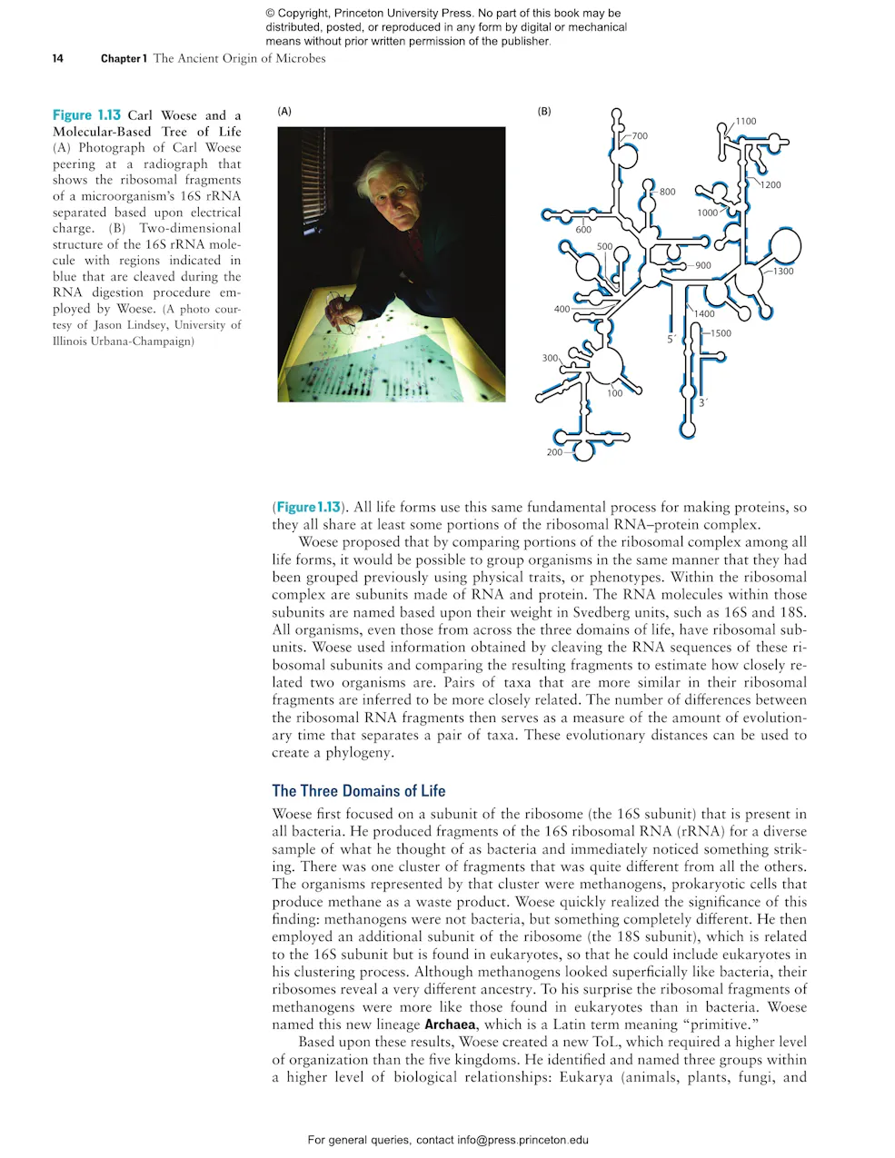 The Human Microbiome in Health and Disease | Princeton University Press