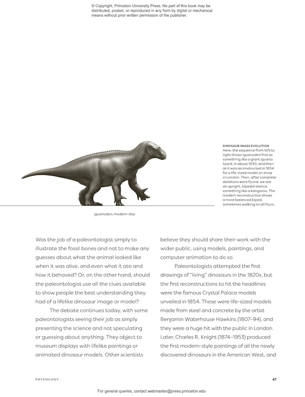 Dinosaur Behavior | Princeton University Press