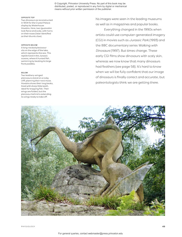 Dinosaur Behavior | Princeton University Press