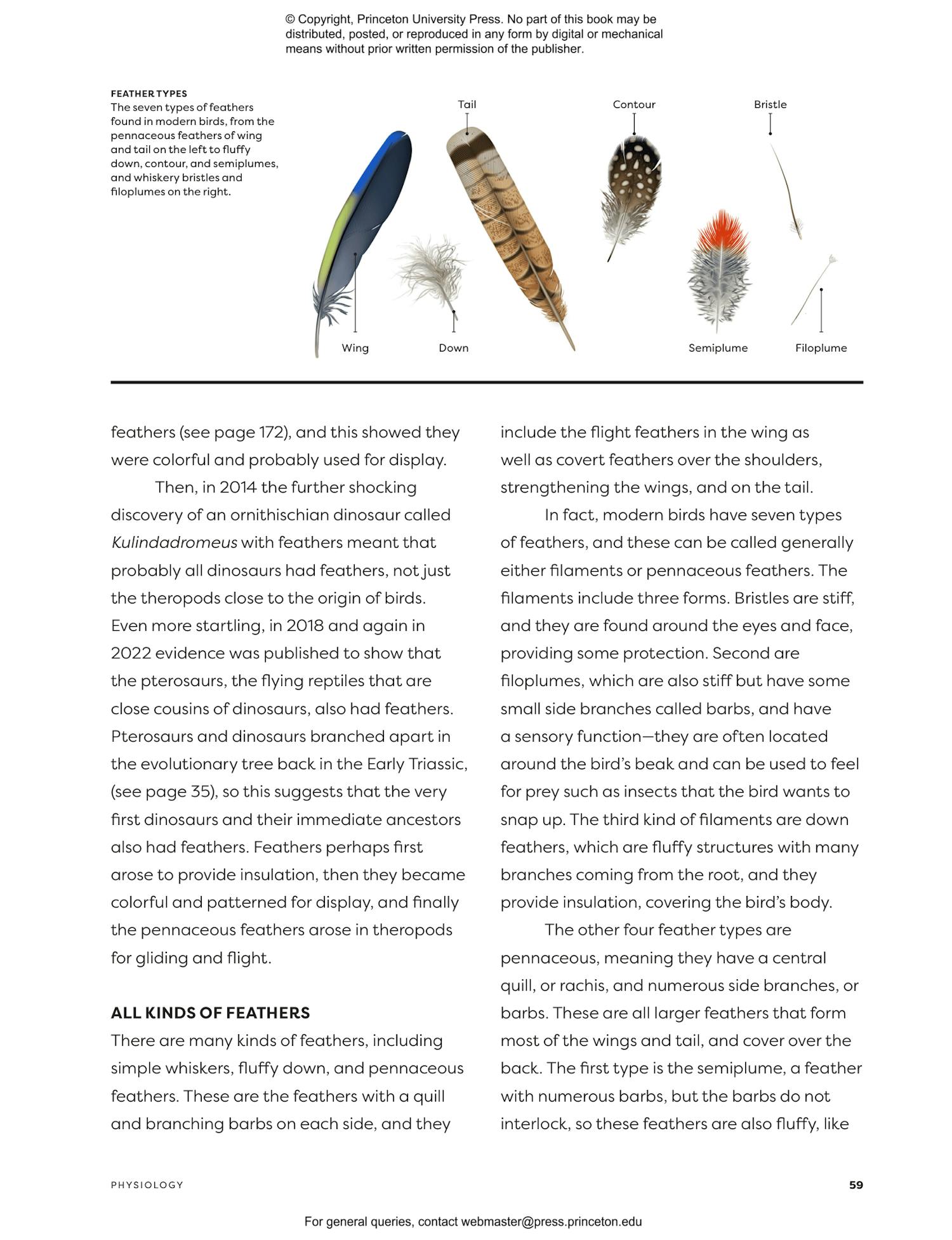 Dinosaur Behavior | Princeton University Press