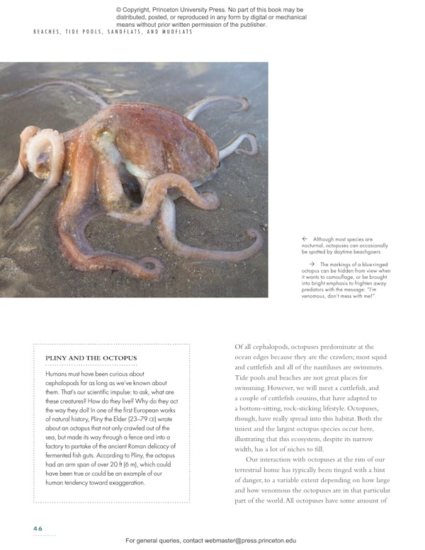 The Lives of Octopuses and Their Relatives | Princeton University Press