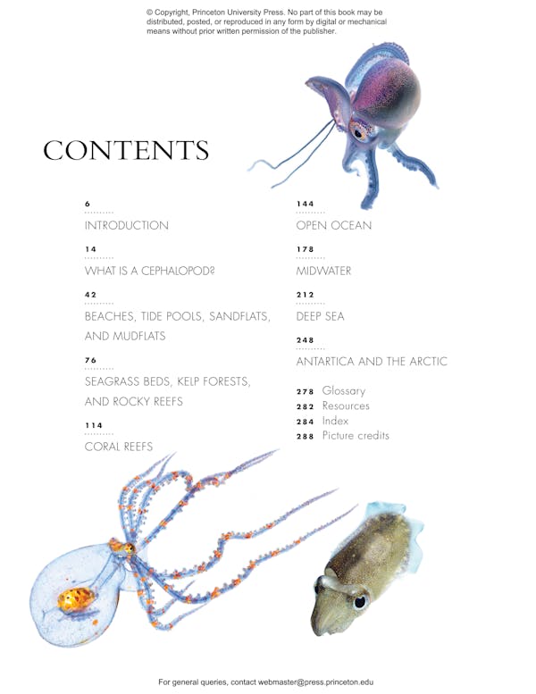 The Lives of Octopuses and Their Relatives | Princeton University Press