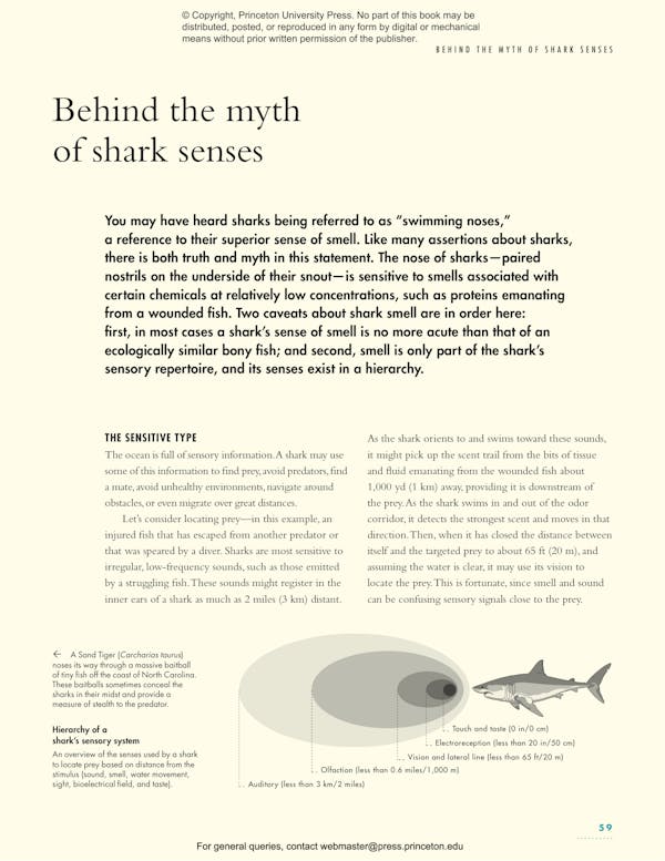 The Lives of Sharks | Princeton University Press