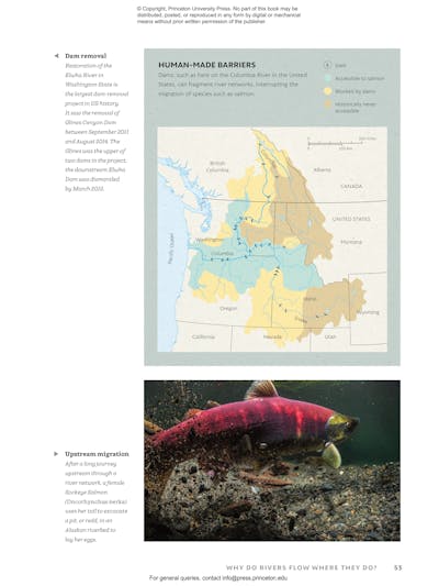 The World Atlas of Rivers, Estuaries, and Deltas | Princeton University ...