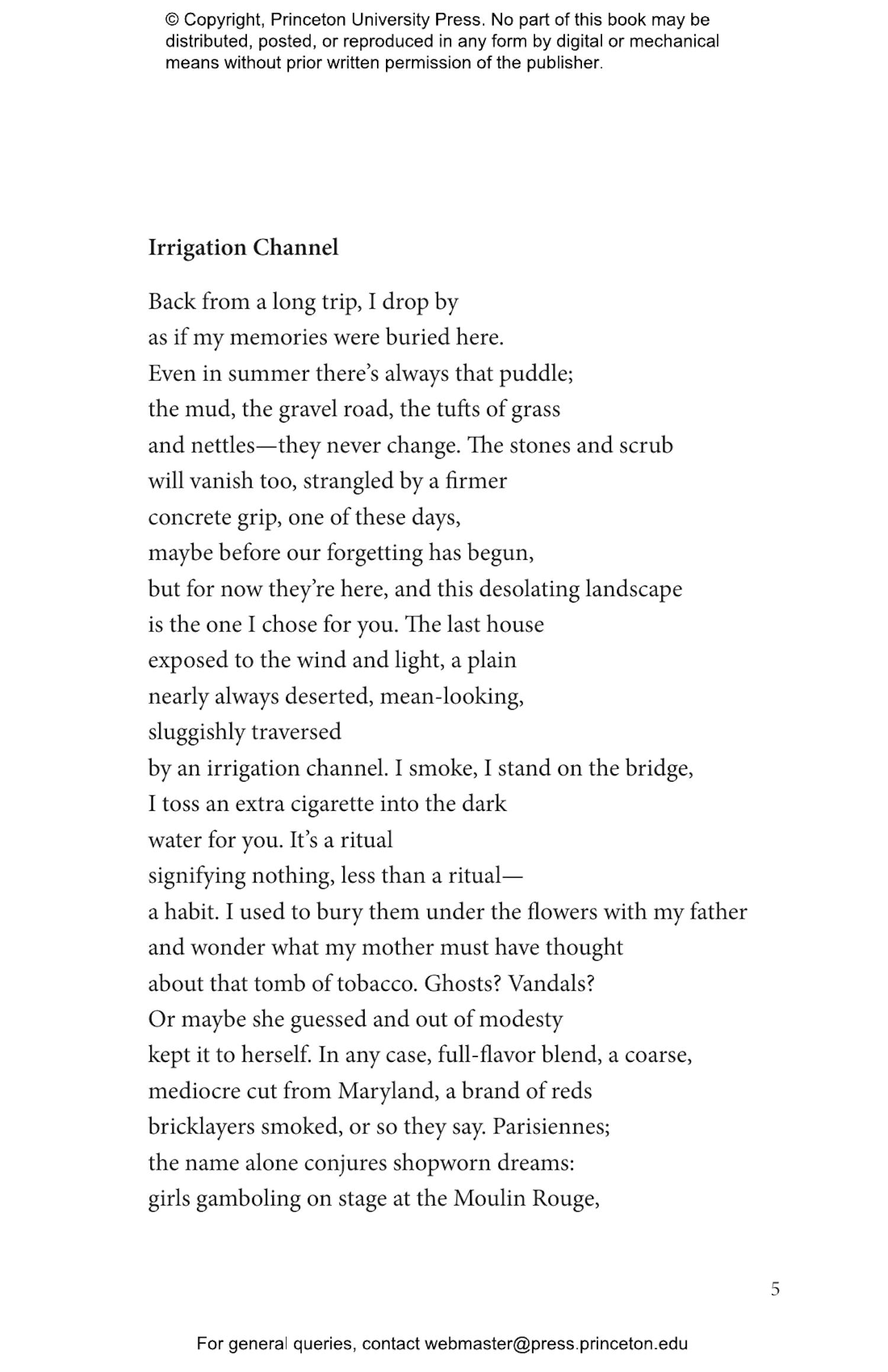 Brief Homage to Pluto and Other Poems | Princeton University Press