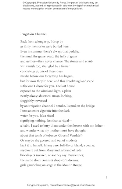 Brief Homage to Pluto and Other Poems | Princeton University Press