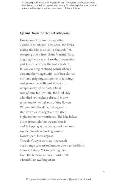 Brief Homage to Pluto and Other Poems | Princeton University Press