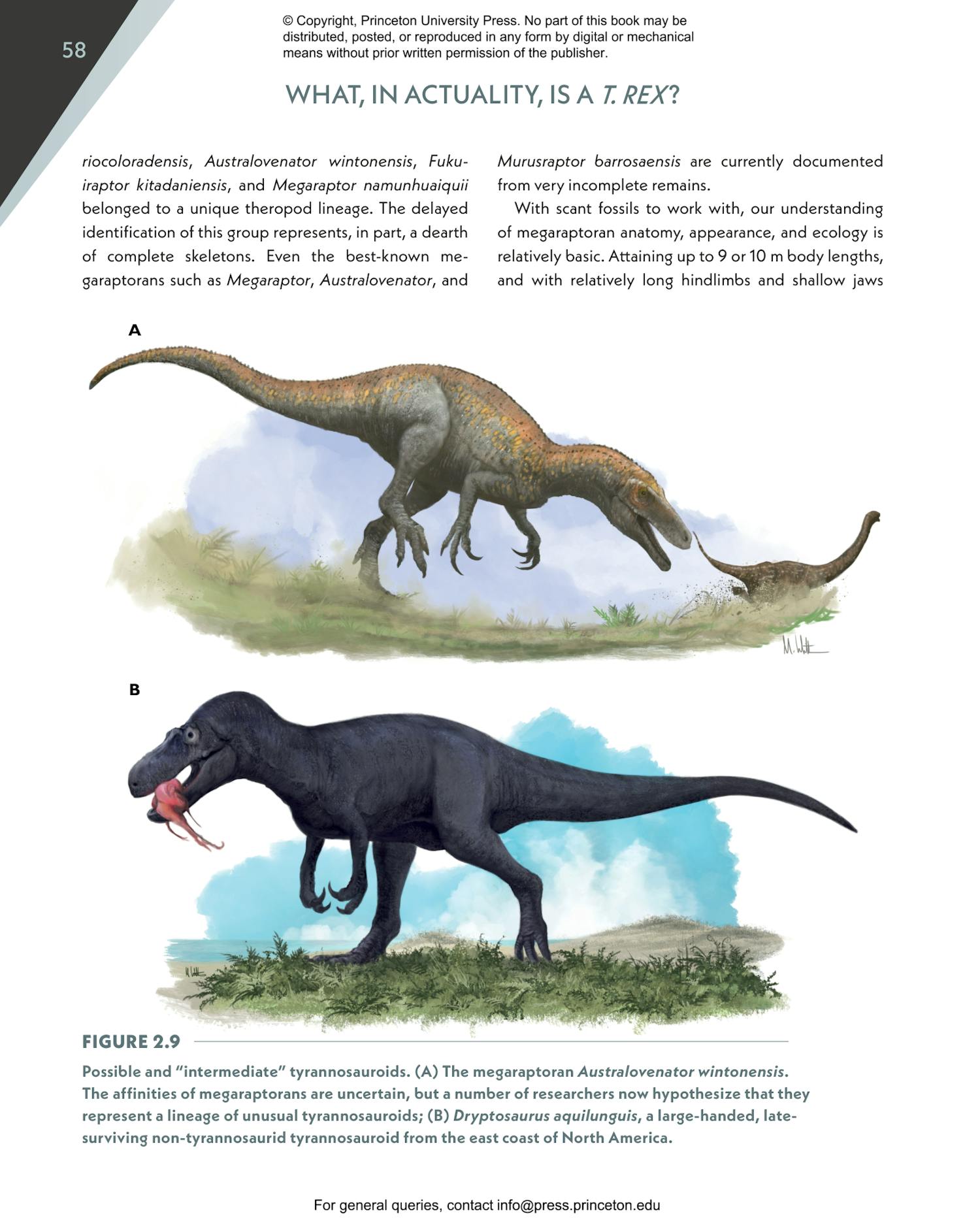 King Tyrant | Princeton University Press