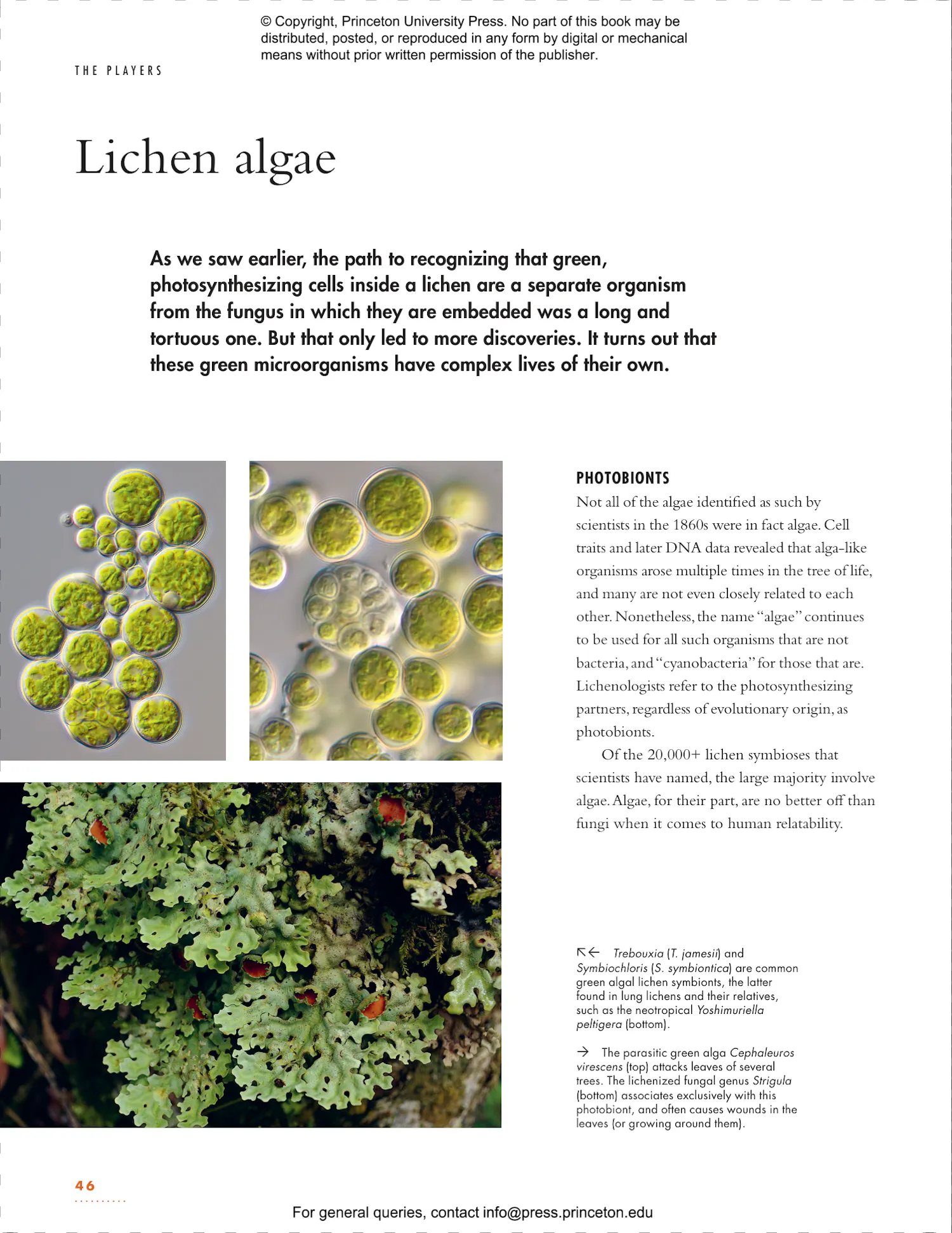 The Lives of Lichens | Princeton University Press