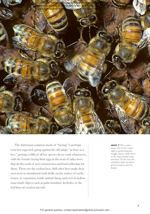 Bees of the World | Princeton University Press