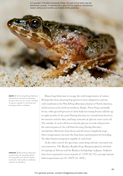 Frogs of the World | Princeton University Press