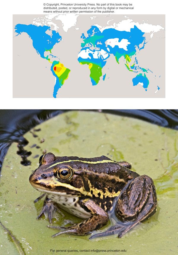 Frogs of the World | Princeton University Press