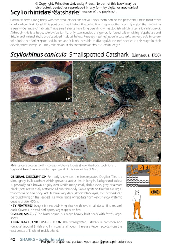 Inshore Fishes of Britain and Ireland | Princeton University Press