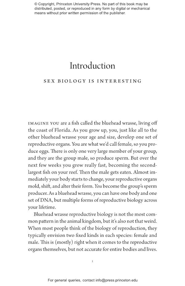 Sex Is A Spectrum Princeton University Press