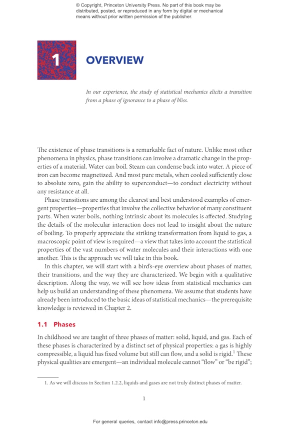 Statistical Mechanics of Phases and Phase Transitions | Princeton University Press
