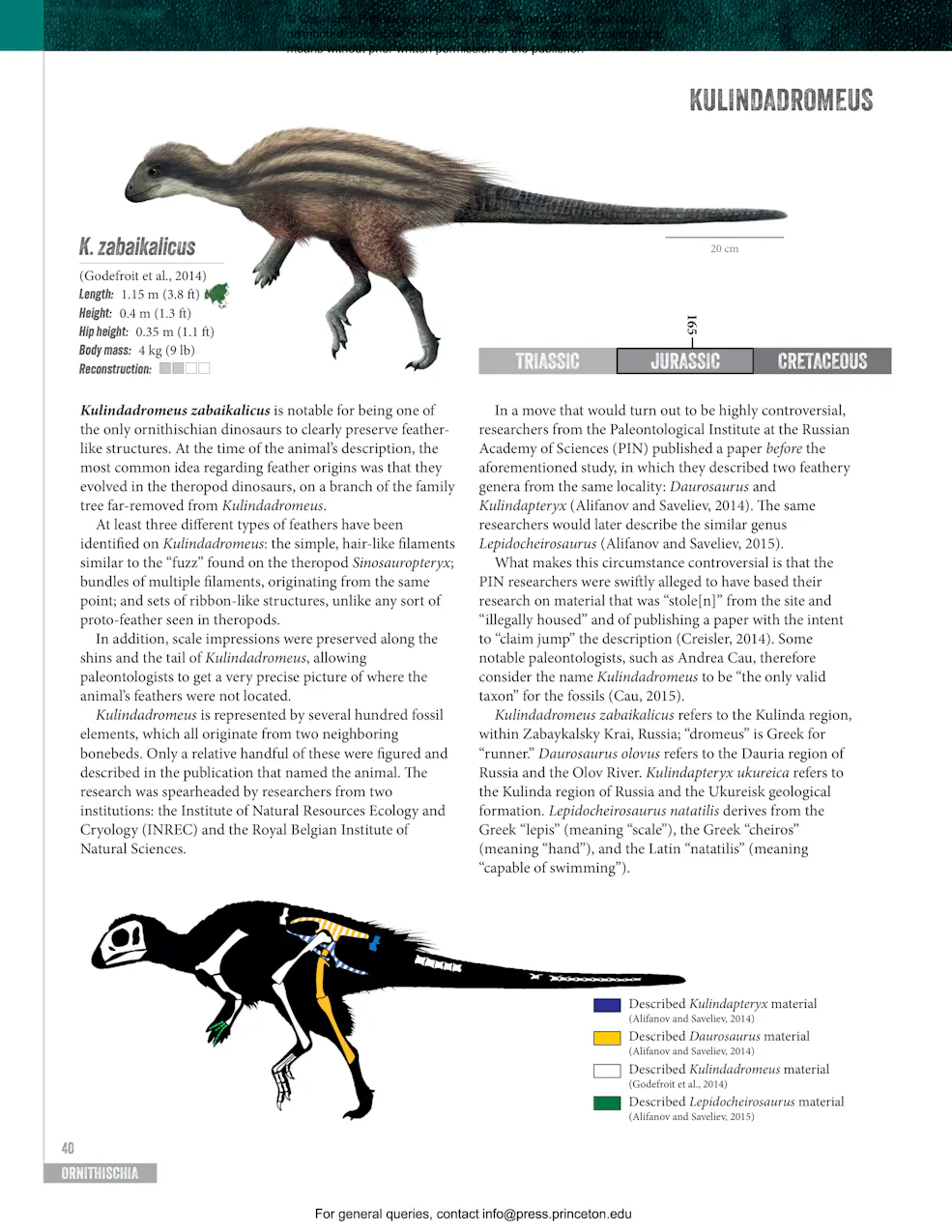 The Princeton Encyclopedia of Dinosaurs: Ornithischians | Princeton ...