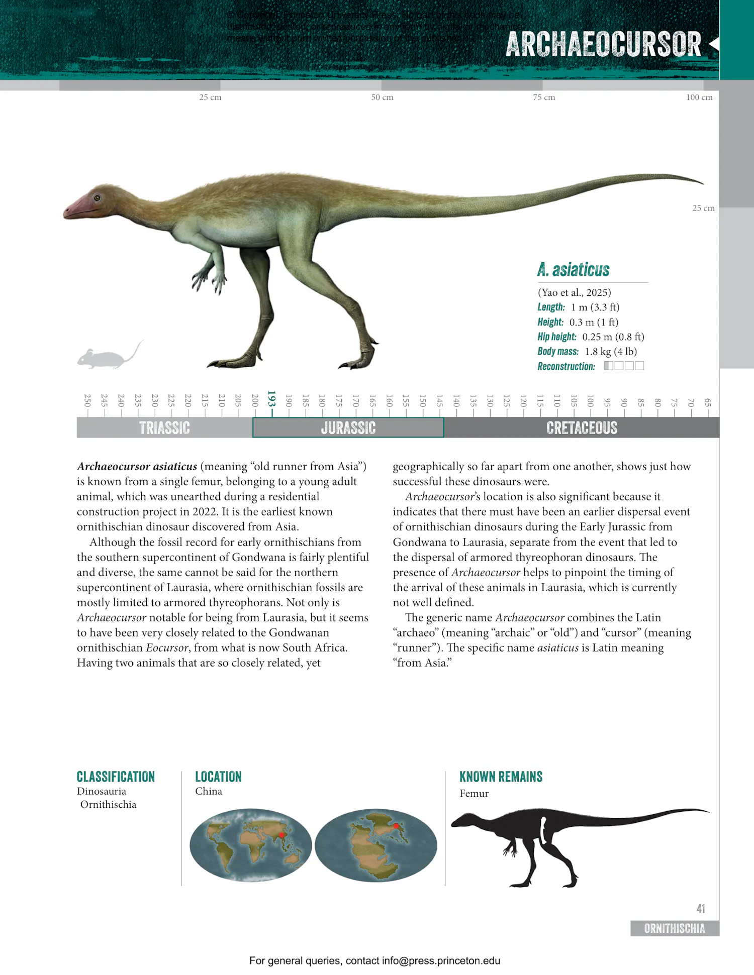 The Princeton Encyclopedia of Dinosaurs: Ornithischians | Princeton ...