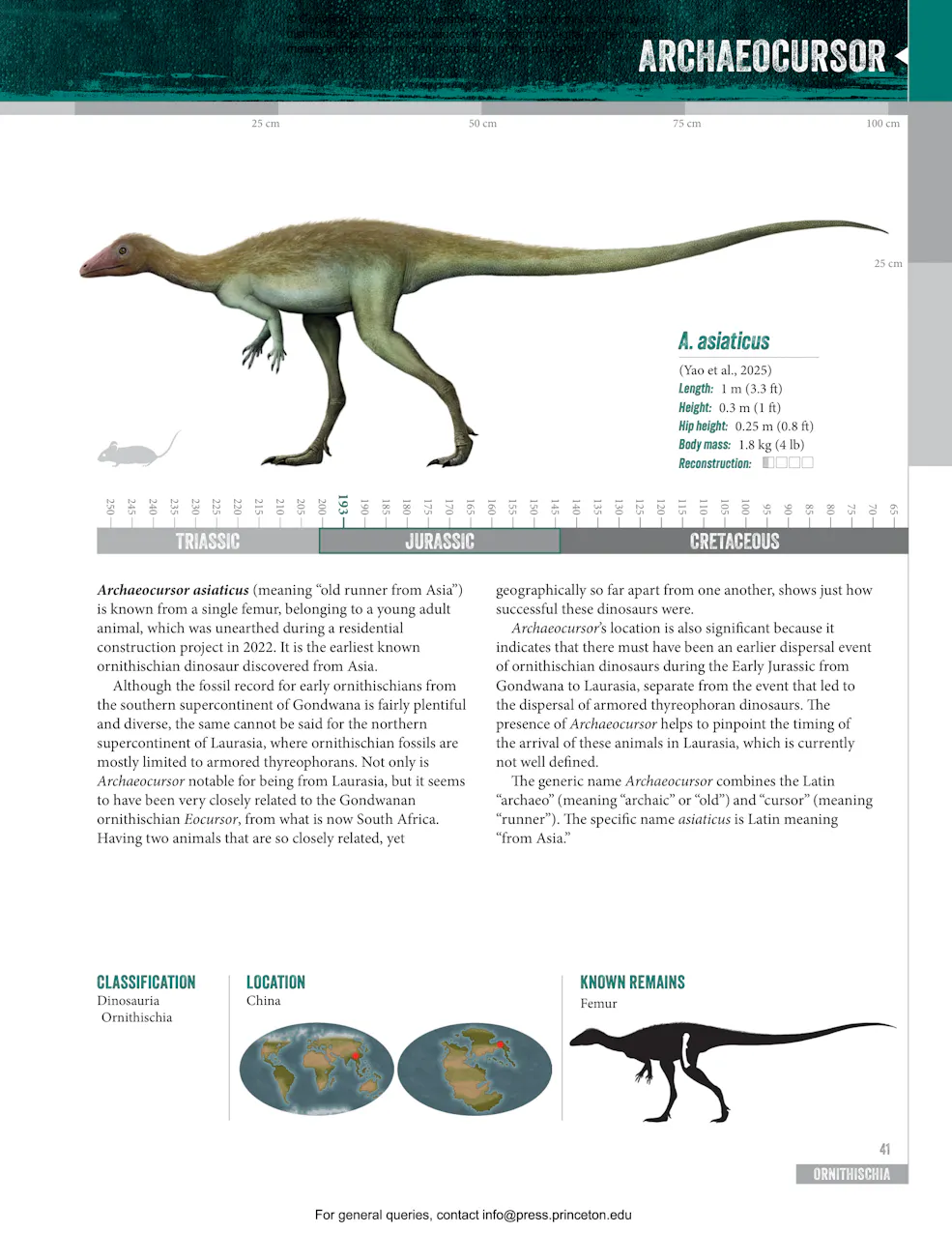 The Princeton Encyclopedia of Dinosaurs: Ornithischians | Princeton ...