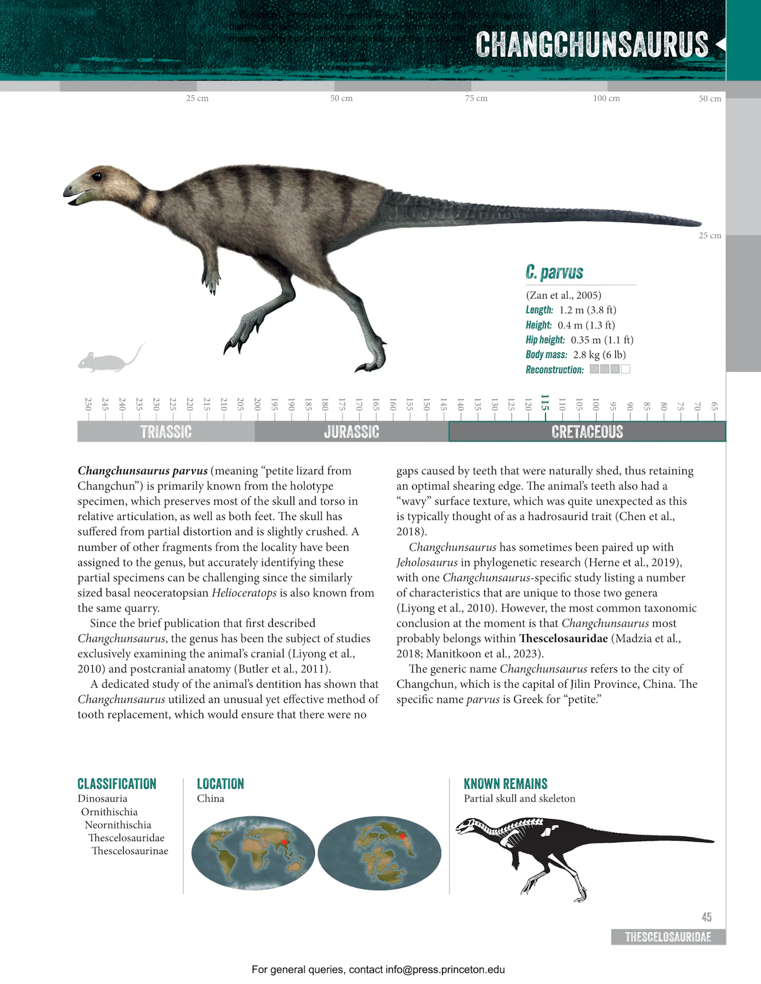 The Princeton Encyclopedia of Dinosaurs: Ornithischians | Princeton ...