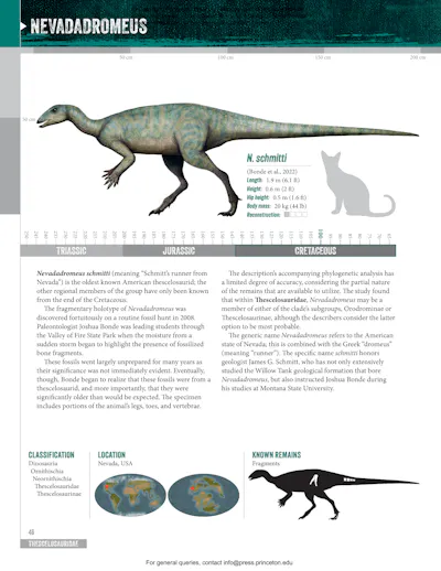 The Princeton Encyclopedia of Dinosaurs: Ornithischians | Princeton ...